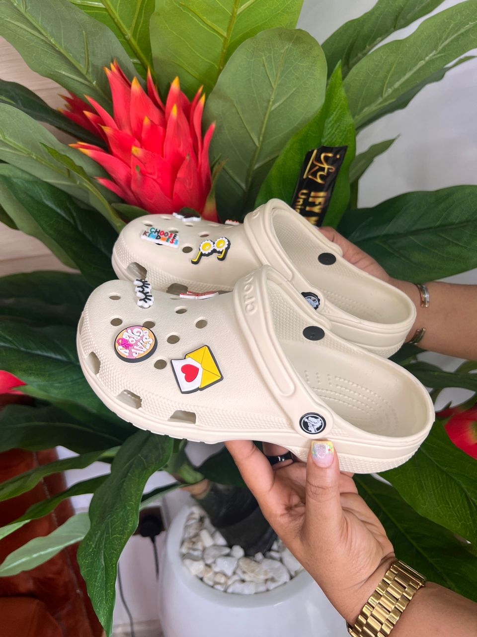 Cream Classic Crocs - Ify Klozet